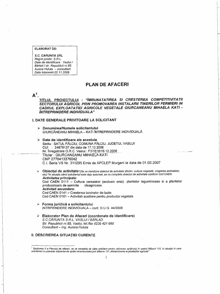 Plan de Afaceri-Model | PDF