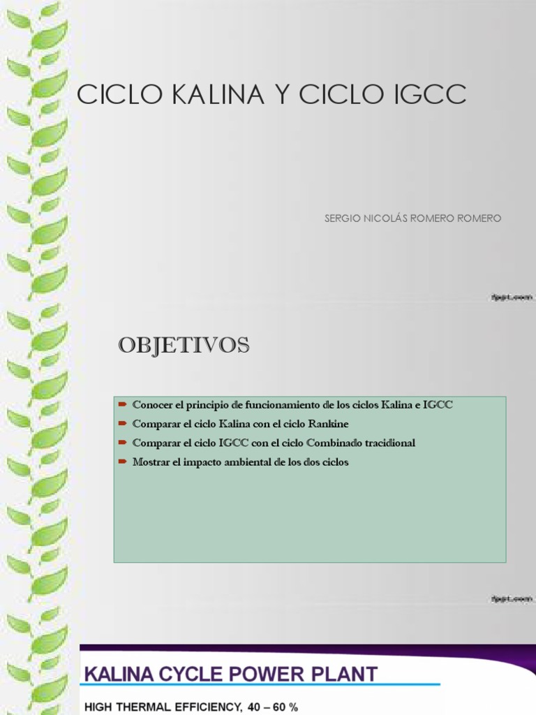 Ciclo Kalina y Ciclo Igcc | PDF | Combustibles | Producción de energía