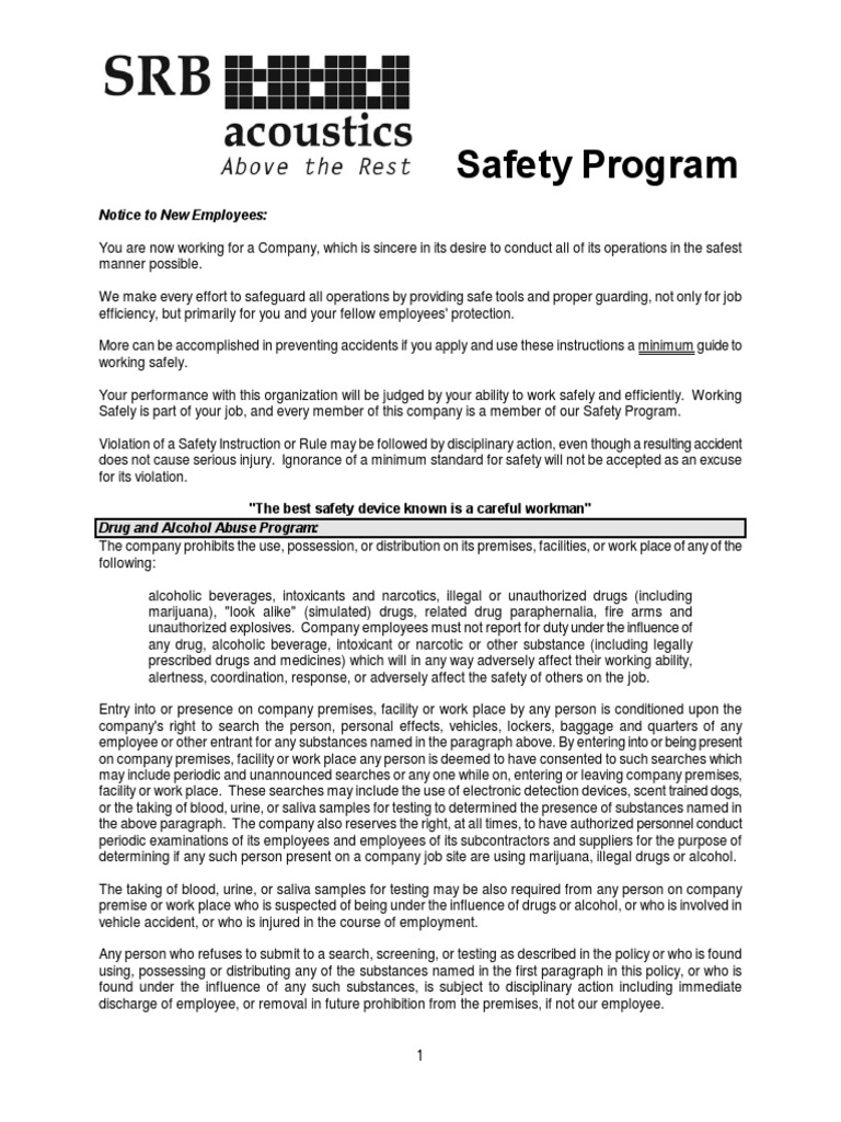 SRB Safety Program | PDF | Scaffolding | Sexual Harassment