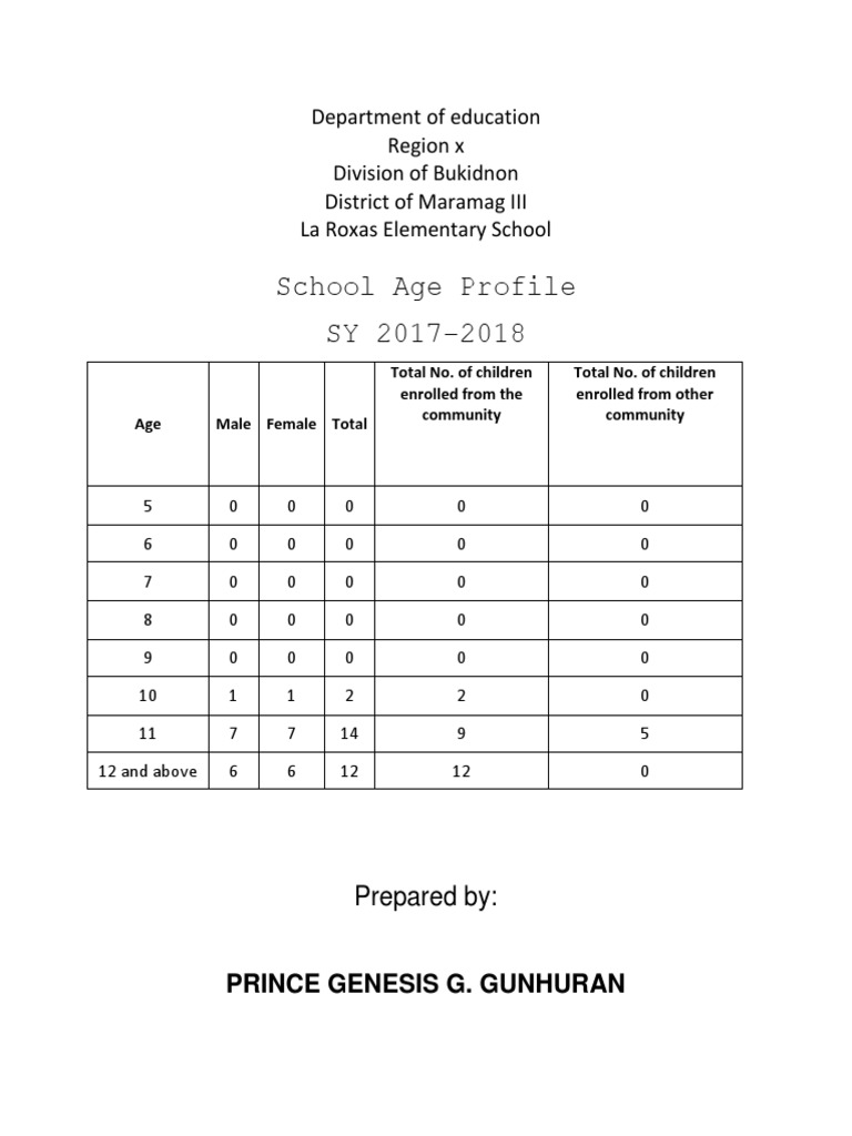 School Age Profile SY 2017-2018 | PDF