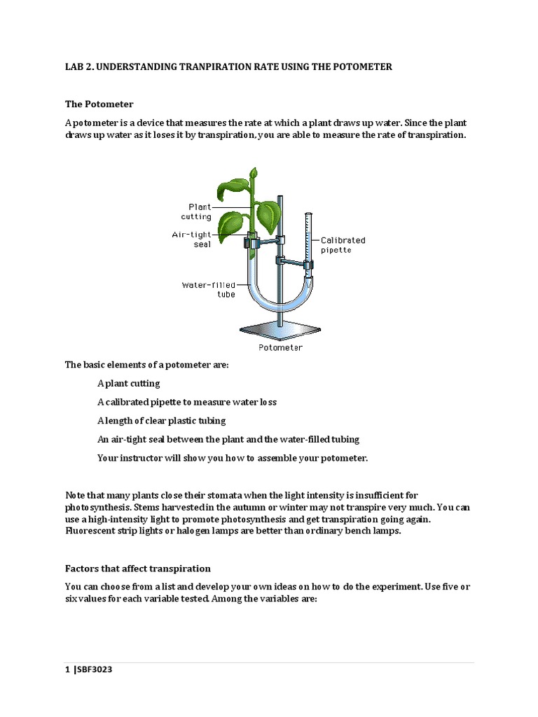 Transpiration Experiment Procedure