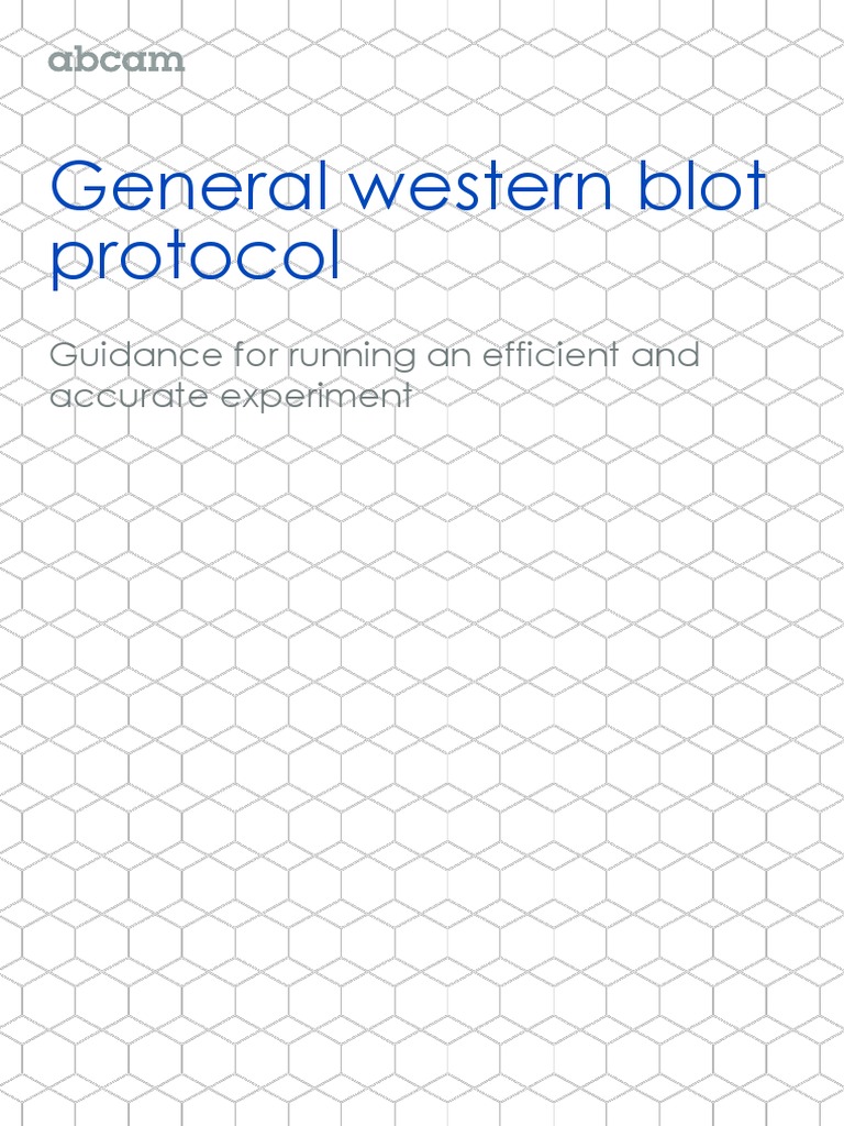 General Western Blot Protocol | PDF | Western Blot | Blot (Biology)