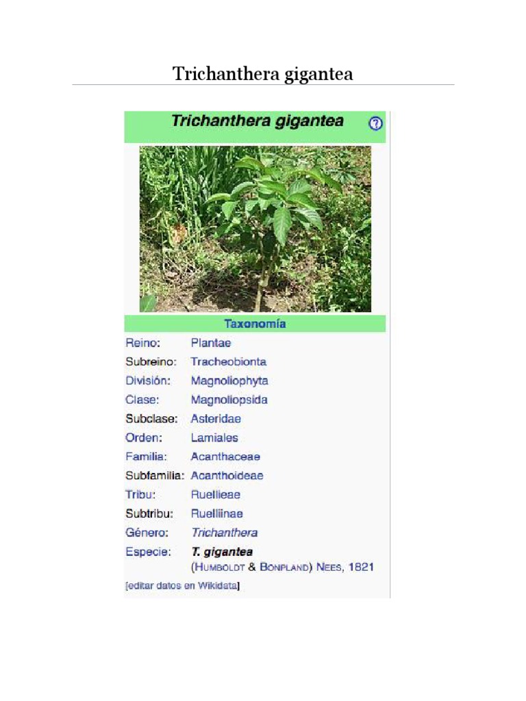 Trichanthera Gigantea | PDF | Organismos | Agricultura