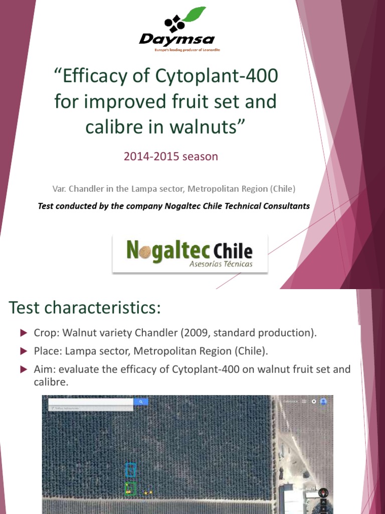 Cytoplant-400 ING Resultados Walnut | PDF | Walnut | Caliber