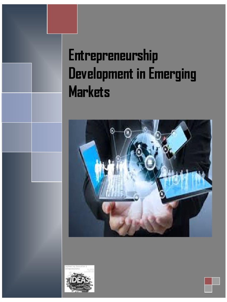 Entrepreneurship in Emerging Markets | PDF | Startup Company | Small ...