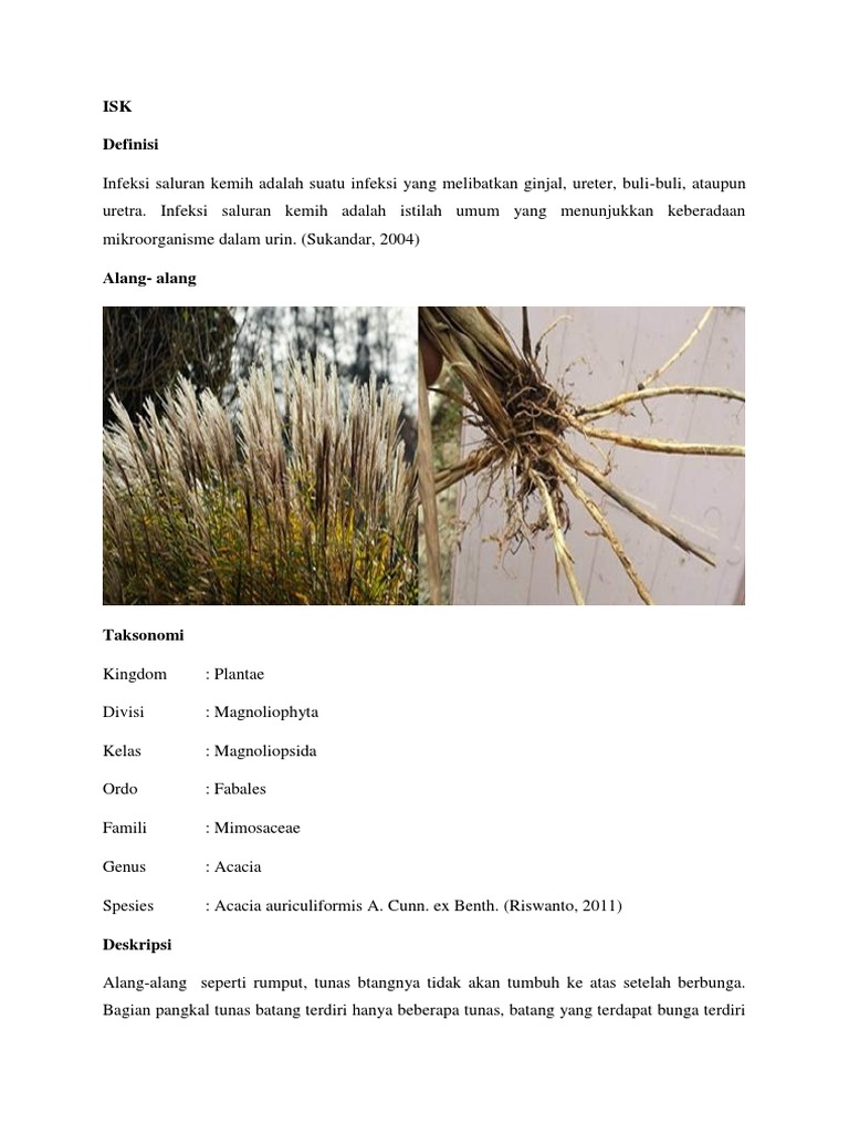 Nuraga 1313010009 | PDF