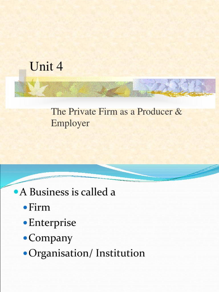 AA IGCSE Unit 4 - TES | PDF | Economies Of Scale | Profit (Economics)