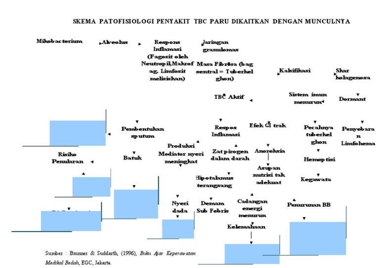 Pathway Tb Paru Pdf