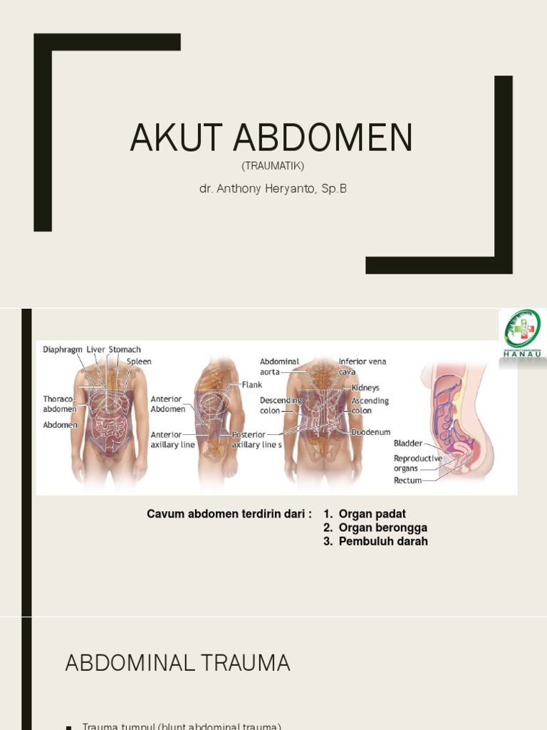 Akut Abdomen (Sementara) | PDF