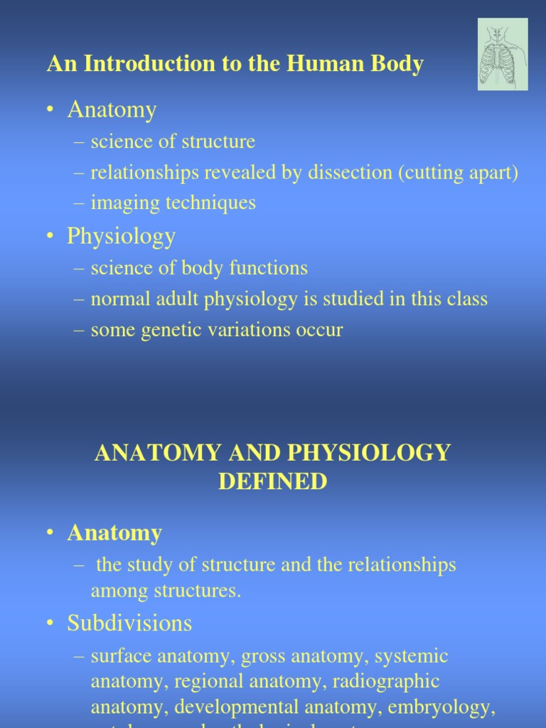 An Introduction To The Human Body: - Anatomy | PDF | Anatomical Terms ...