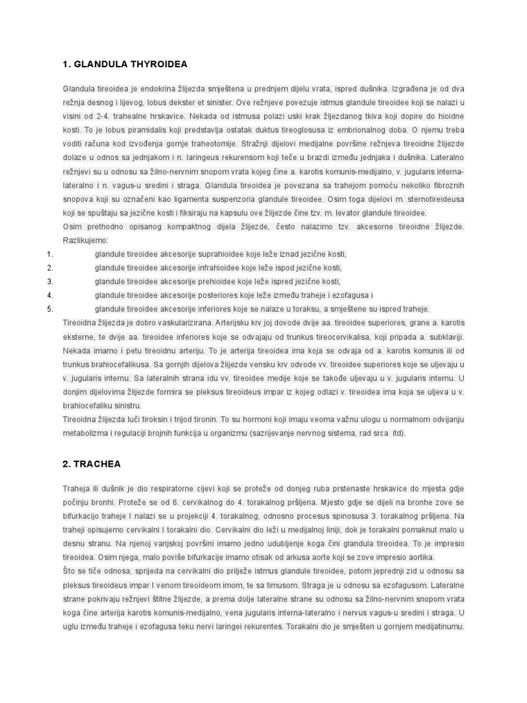 Anatomija Skripta | PDF