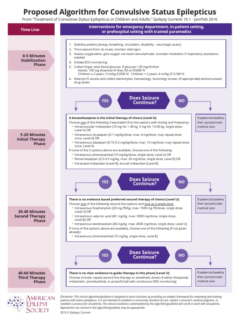 CSE Treatment Chart-Final - Rerelease PDF | PDF | Midazolam | Pharmacology