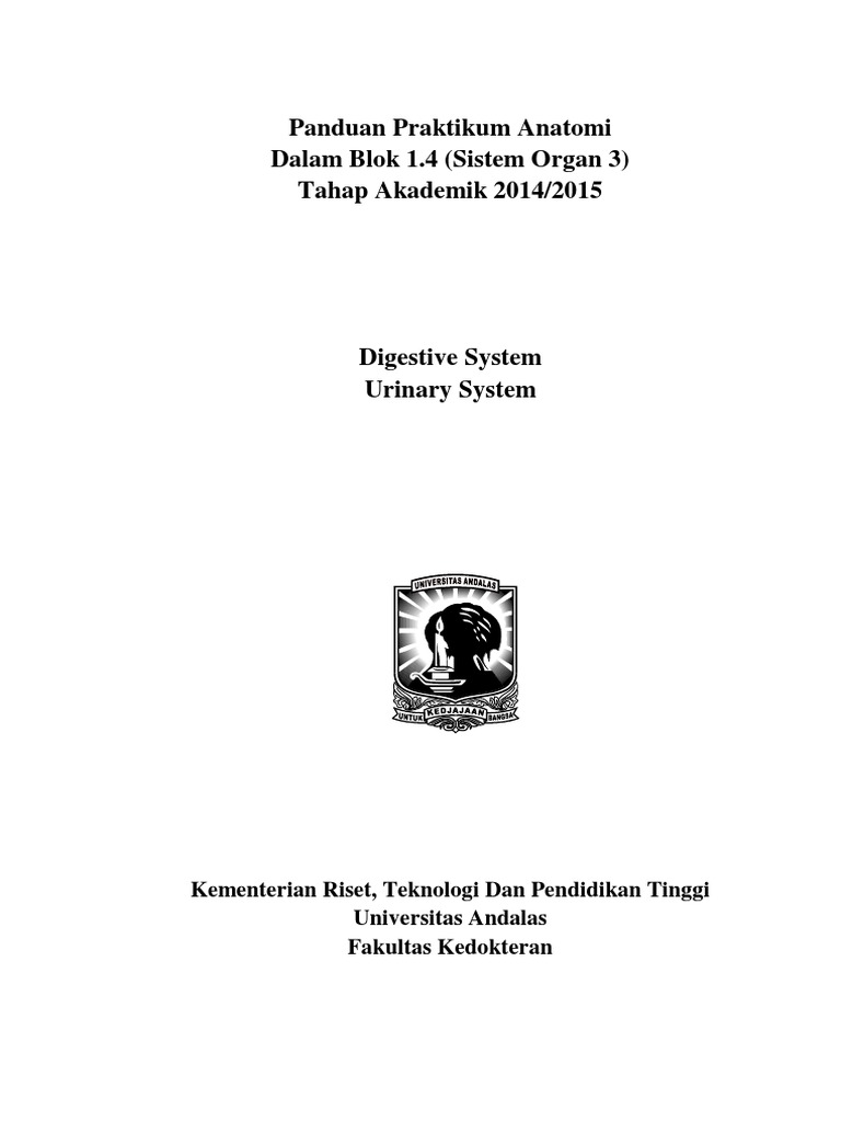 Plica Rectovesicalis dalam Anatomi | PDF