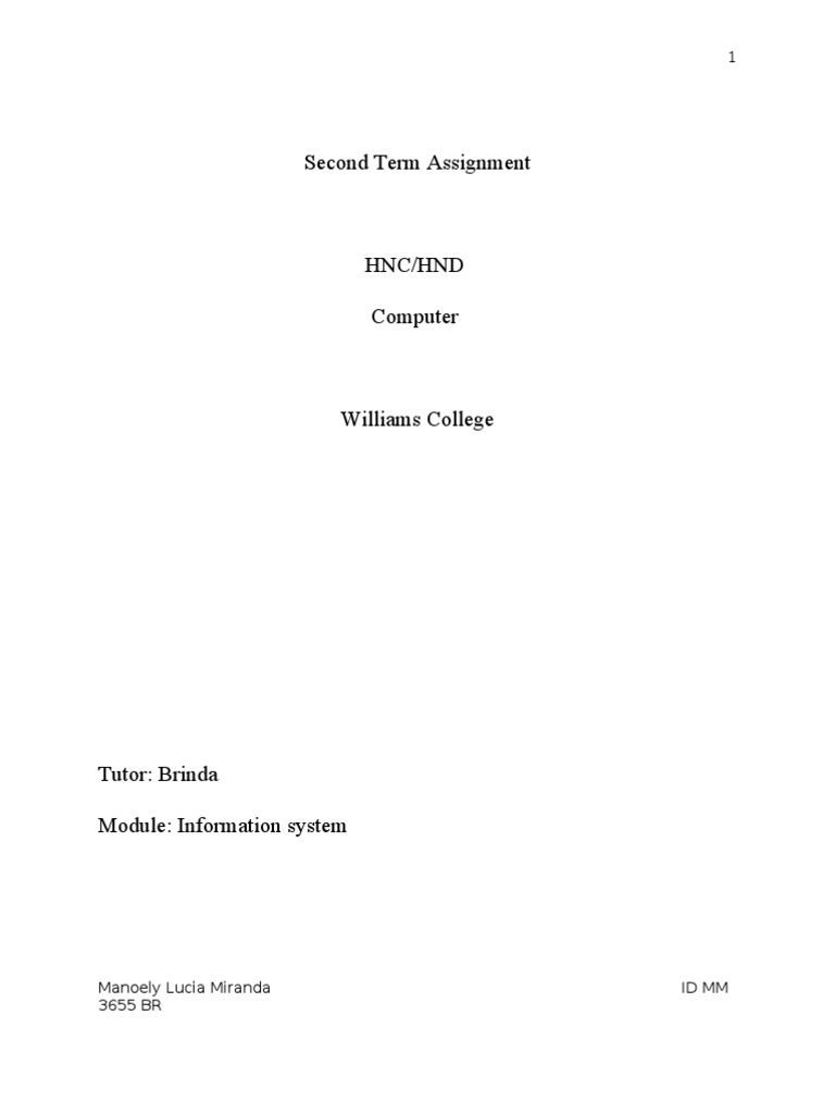 Second Term Assignment | PDF | Databases | Information System