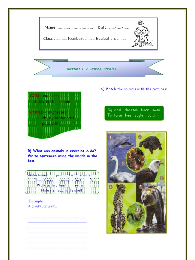 Animal Abilities and Modal Verbs | PDF