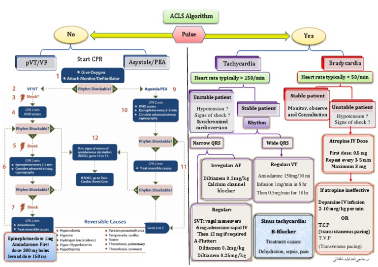 ACLS Algorithm Pulse No Yes: Stable Patient Unstable Patient Stable ...