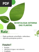 Raízes Adventícias: Exemplos e Funções | PDF | Raiz | Morfologia vegetal