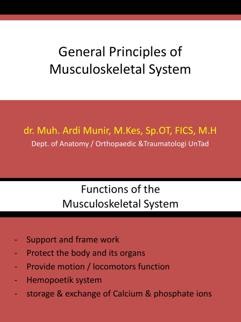 General Principle of Locomotion & Biomechanic | PDF | Skeletal Muscle ...