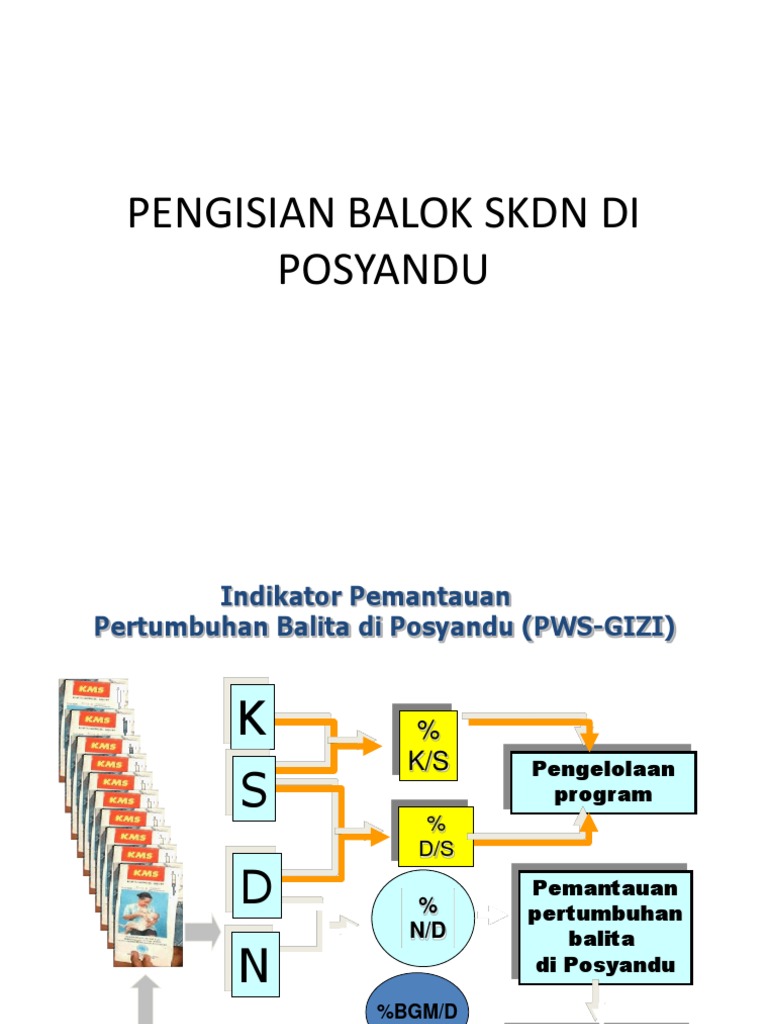 Panduan Pengisian Balok SKDN Posyandu | PDF
