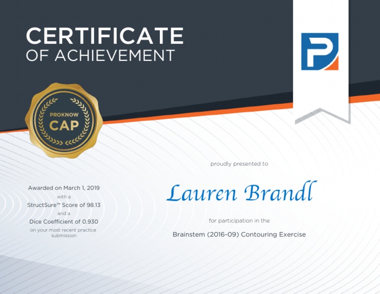 Brainstem Contour | PDF