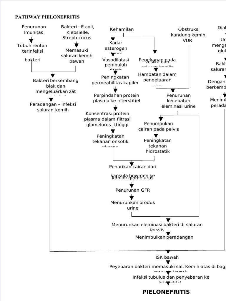 Dokumen - Tips Pathway Pielonefritis 55a7584b0814b | PDF