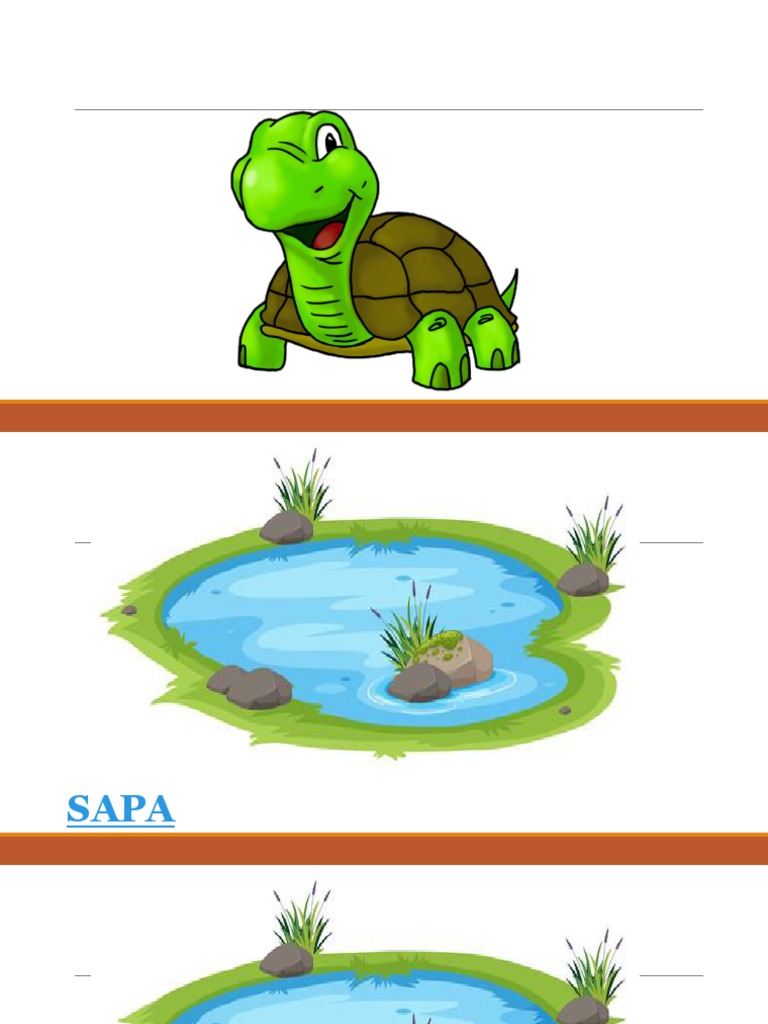 Ang Madaldal Na Pagong | PDF