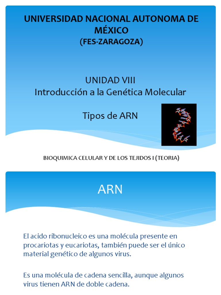 Tipos de ARN | PDF | Rna | Messenger Rna