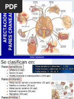 Neurobel Cuaderno EStímulos | PDF