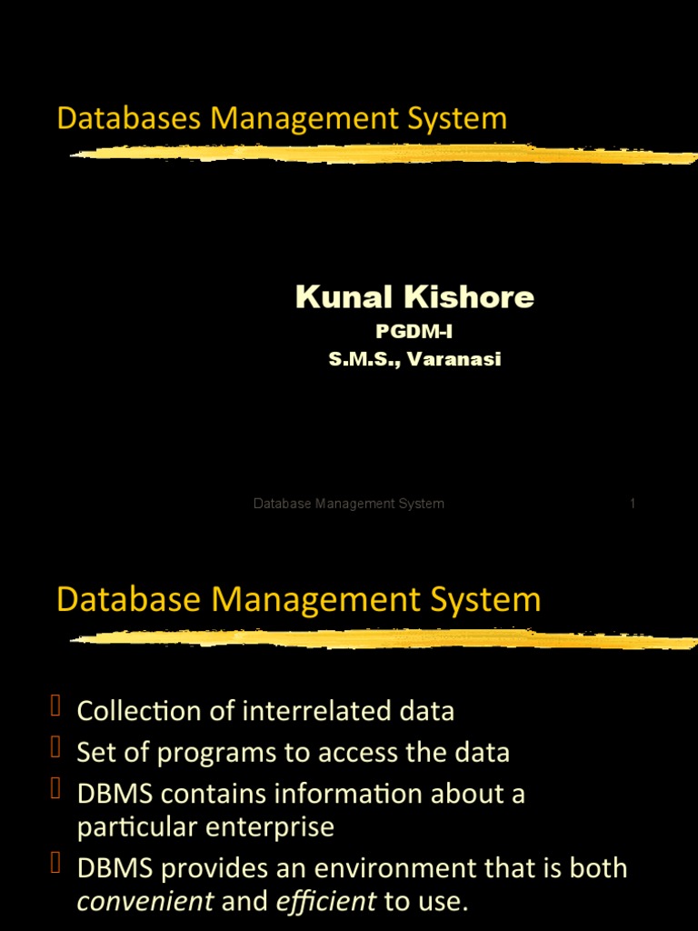 Dbase | PDF | Business | Databases