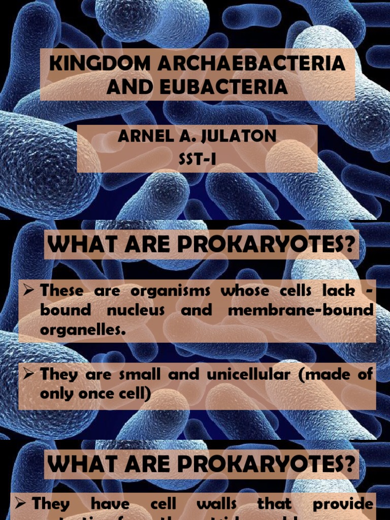 Kingdom Archaebacteria Eubacteria | PDF | Prokaryote | Archaea