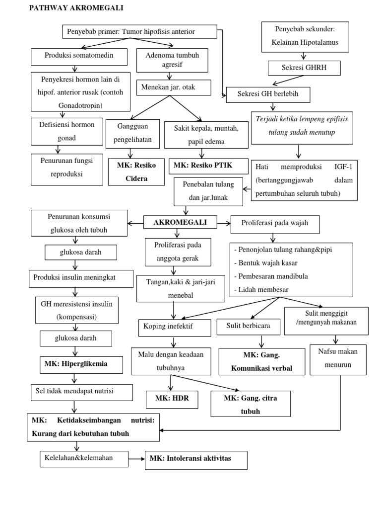 Pathway Akromegali | PDF