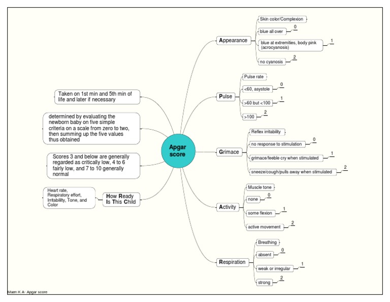 Apgar Score PDF | Download Free PDF | Physiology | Medical Specialties