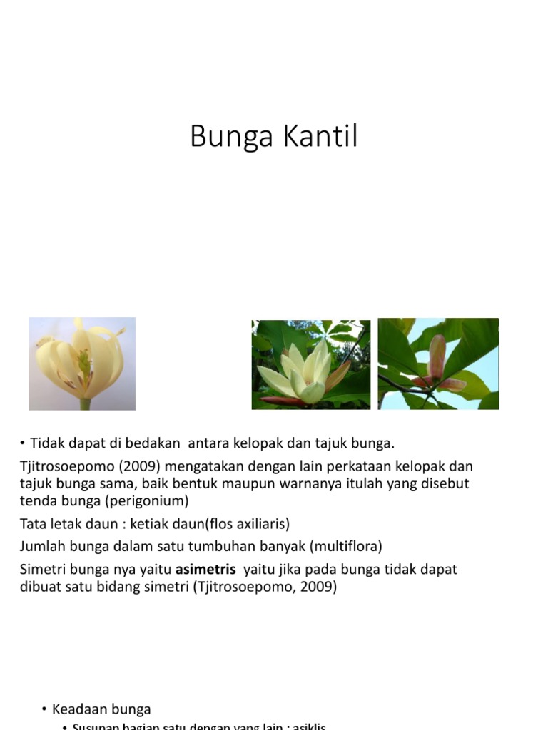 Bunga Cempaka | PDF