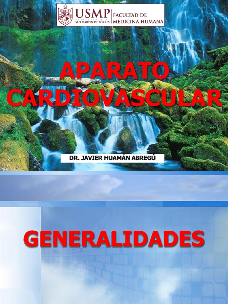 Cardiovascular 02 05 18 Pdf Pdf Corazón Tórax Anatomía Humana