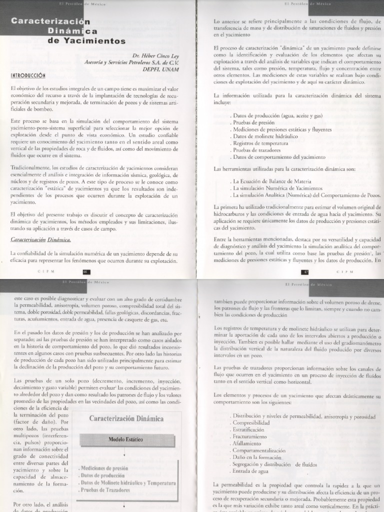 Caracterizacion Dinamica Yacimientos PDF | PDF | Petróleo | Agua