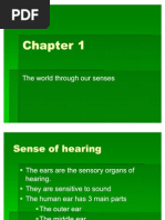 Grade 12 Life Science The Ear PDF | PDF | Ear | Hearing