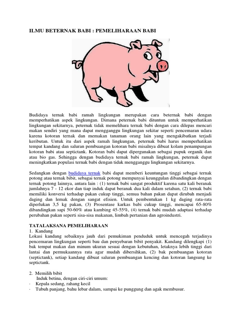 Ilmu Beternak Babi | PDF