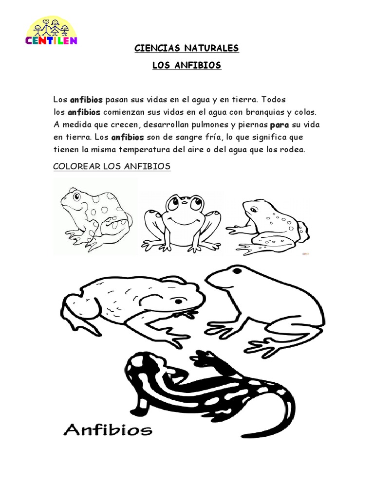 Guía Anfibios | PDF