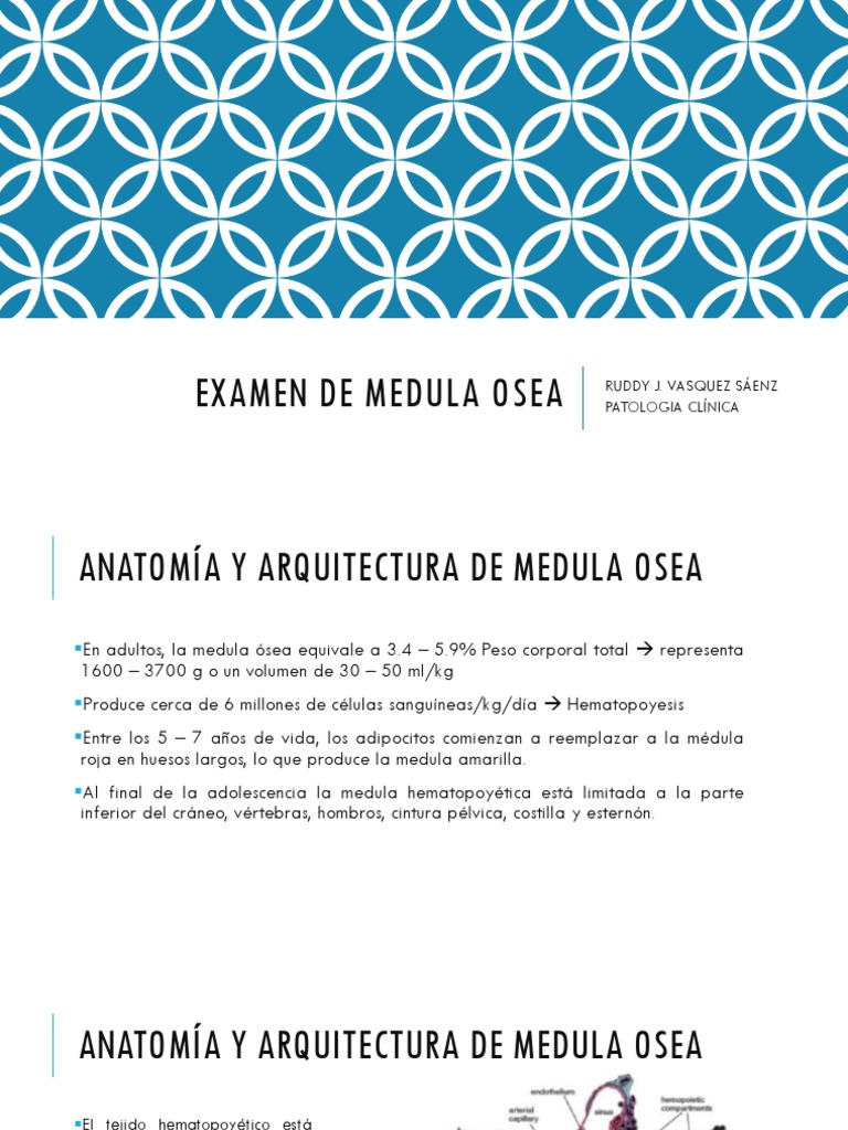 Examen de Médula Ósea: Proceso y Resultados | PDF | Hematopoyesis ...