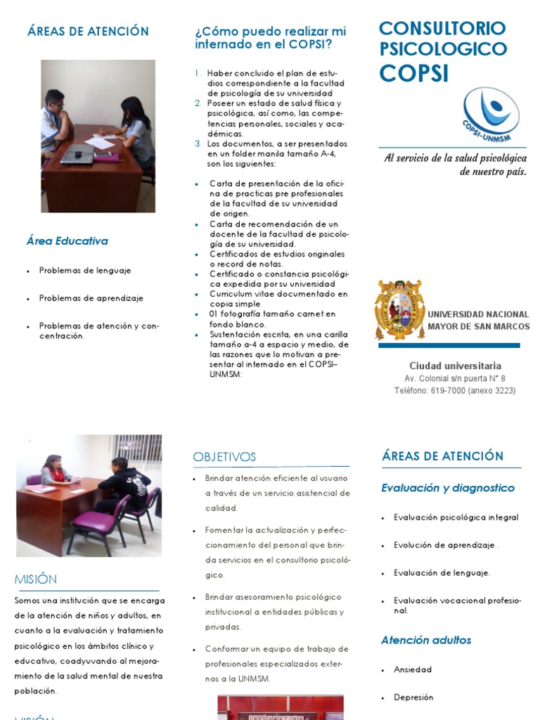 Triptico Copsi | PDF | Sicología | Evaluación