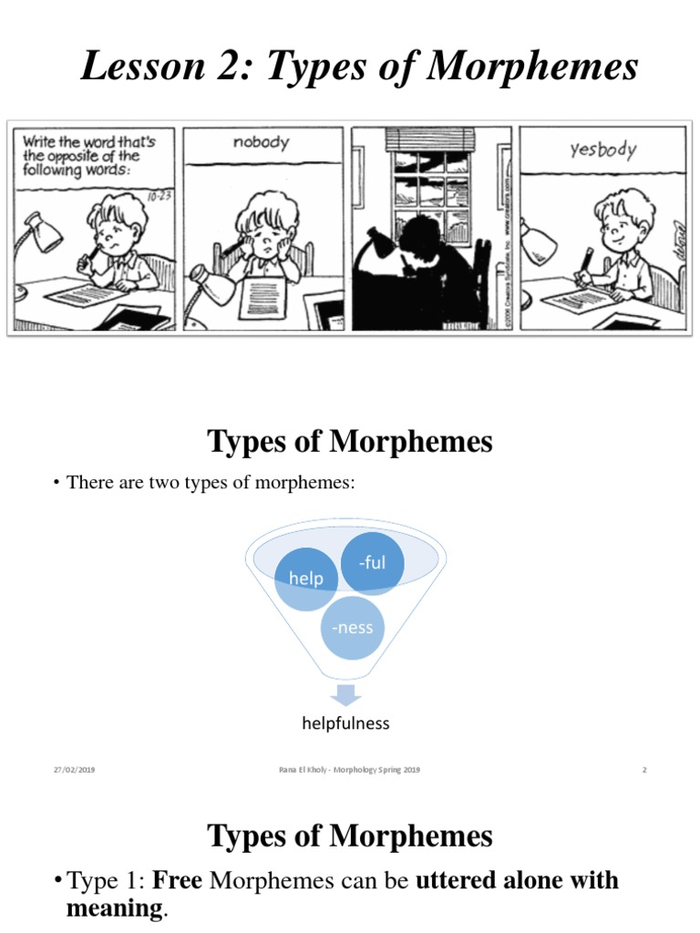 Types of Morphemes | Morphology (Linguistics) | Grammatical Number
