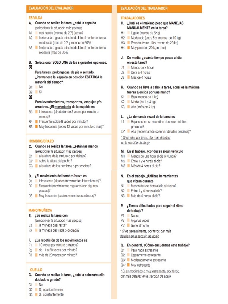 Formato y Evaluación QEC | PDF