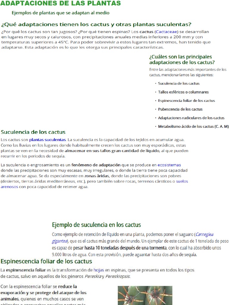 Adaptaciones de Las Plantas | PDF
