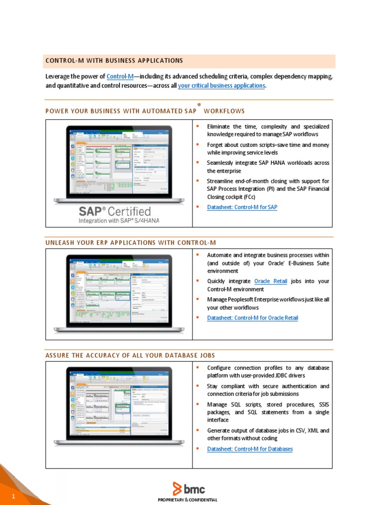 Control M | PDF | Databases | Information Technology