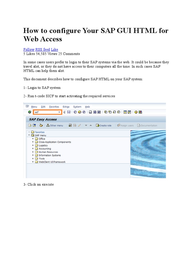 How To Configure Your SAP GUI HTML For Web Access: Follow RSS Feed Like | PDF | Hypertext ...