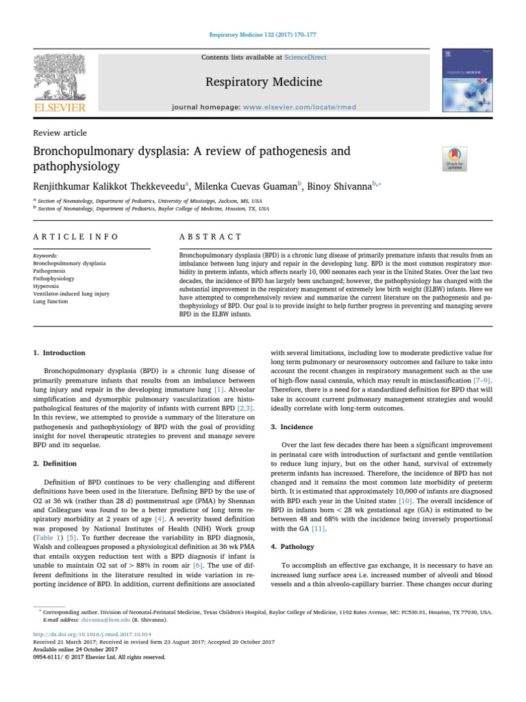 Basic Principlies of Respiratory Function Monitoring in Ventilated ...