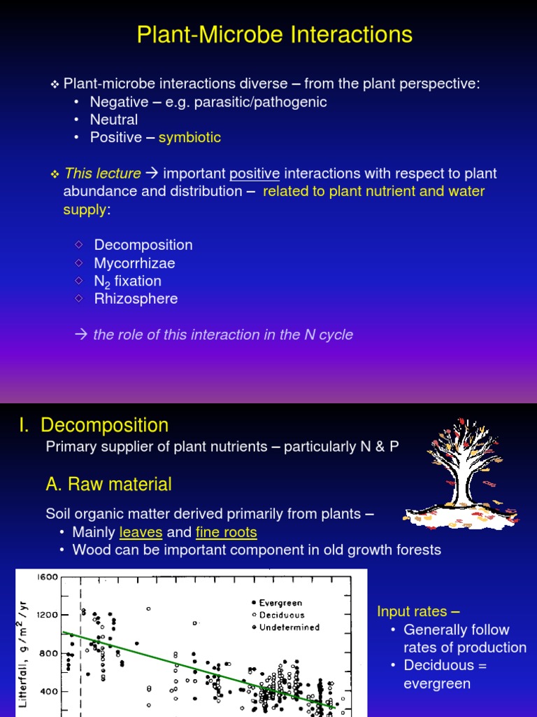 Plant-Microbe Interactions: Symbiotic | PDF | Soil | Fungus