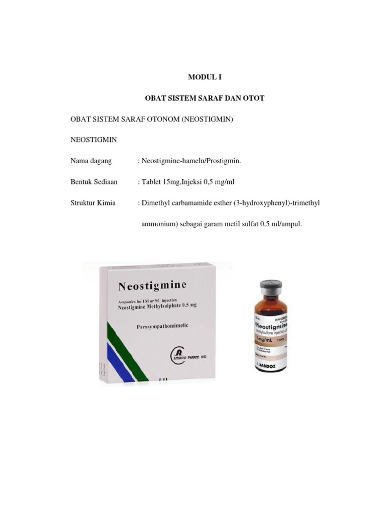 Modul I | PDF
