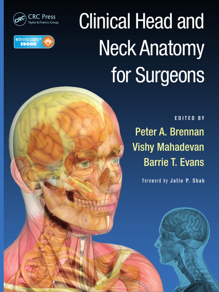 Head+and+Neck+Anatomy.pdf | Oral And Maxillofacial Surgery | Skin