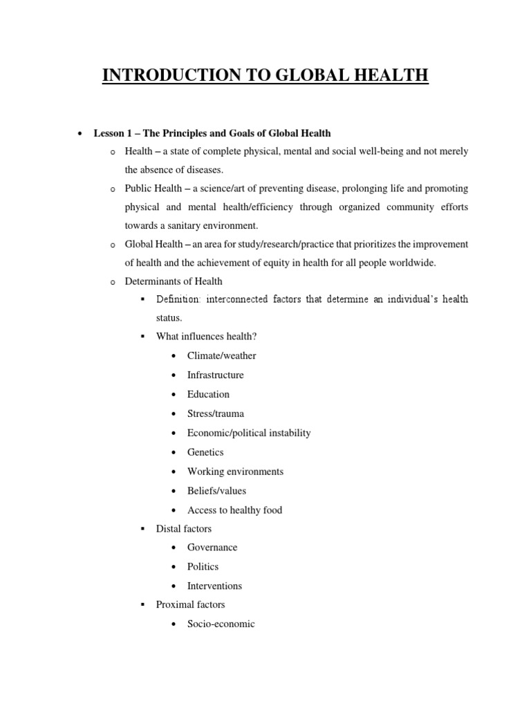 Principles of Global Health Overview | PDF | Health Equity | Air Pollution